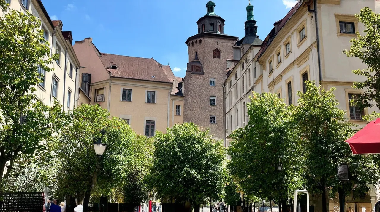 Free Guided Walking Tours Würzburg: Discover the City