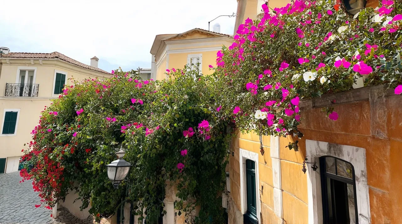 Free Walking Tour Itinerary Corfu Town: Explore on Foot